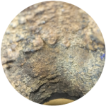 Cooling Towers Treatment – EST – elgressy